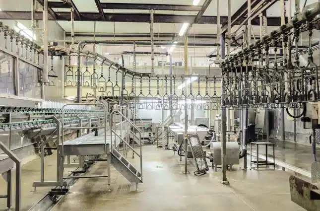 Poultry - Adroit North America